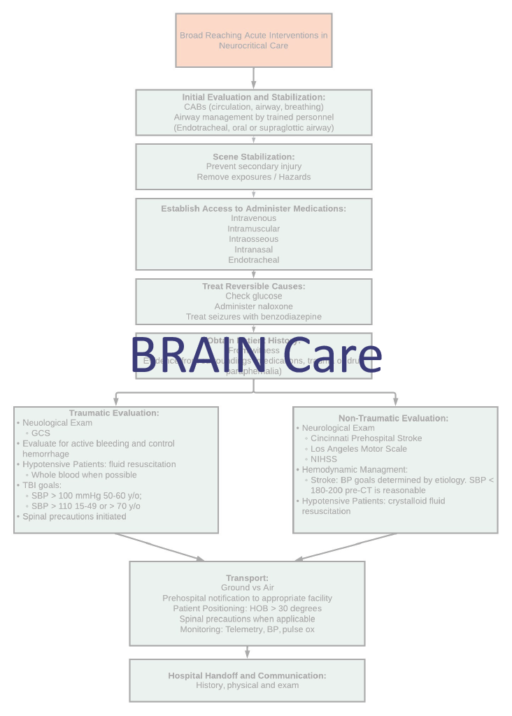 ENLS® Protocols and Resource-Limited Algorithms